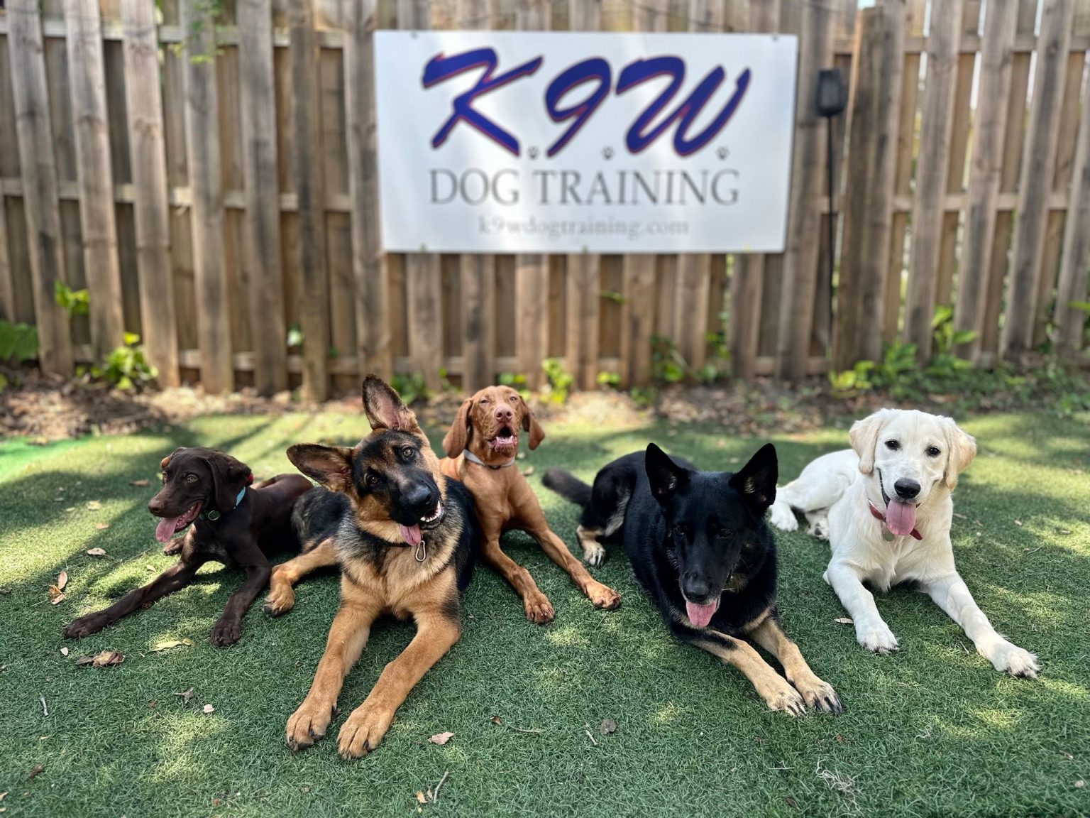 Home - K9W Dog Training